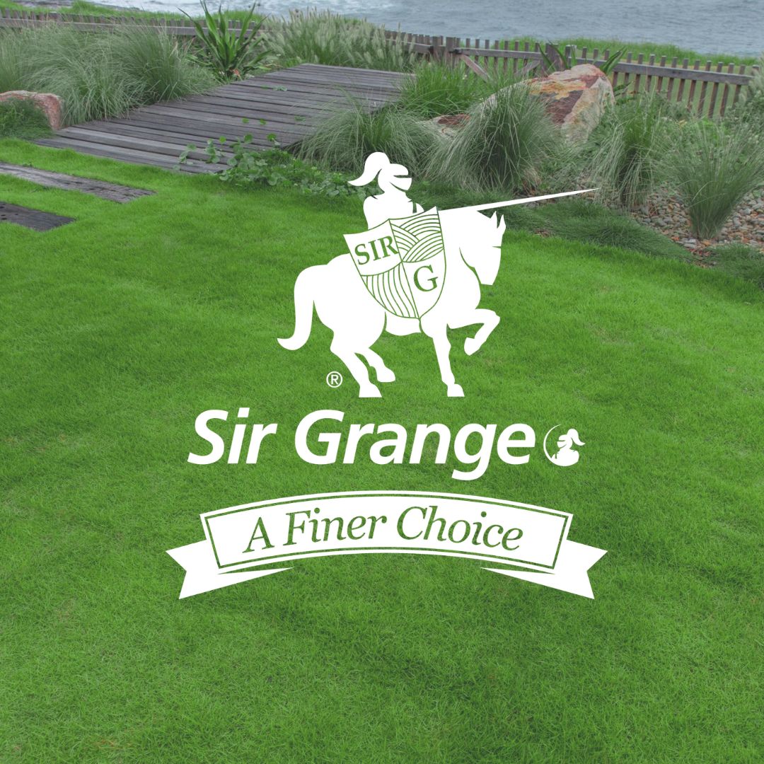 Sir Grange Zoysia – Green Life Turf